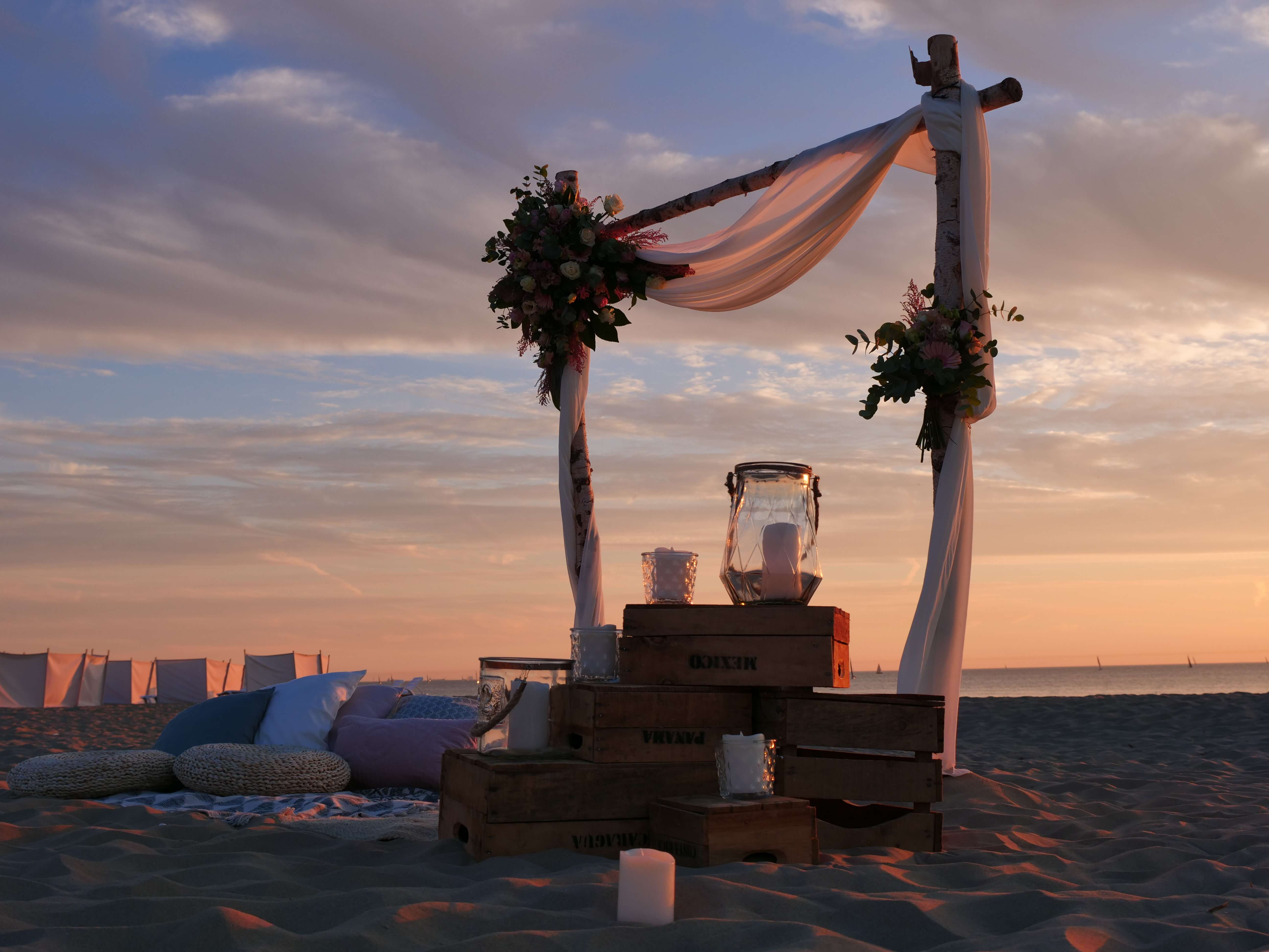 - Plan my Proposal