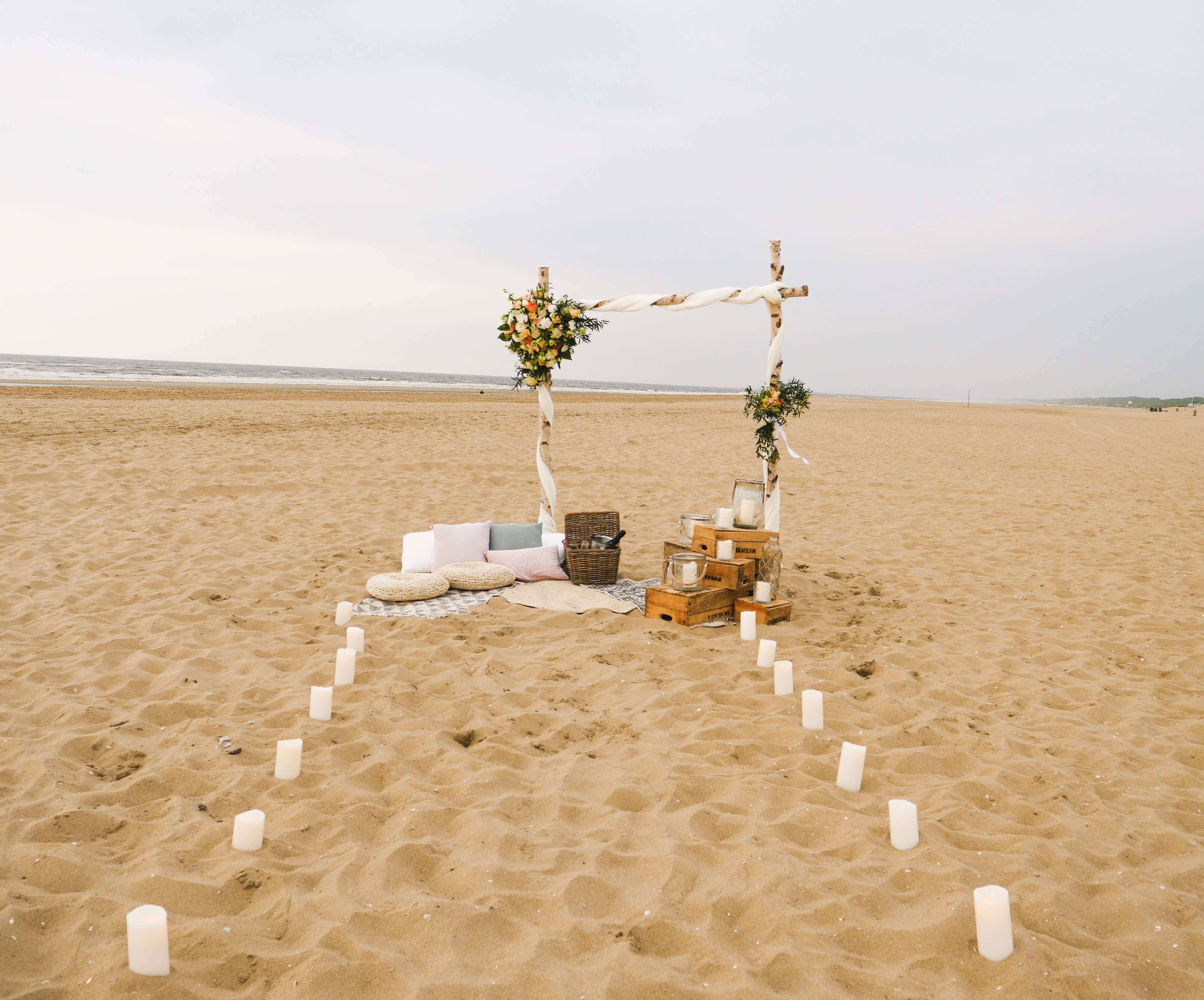 - Plan my Proposal